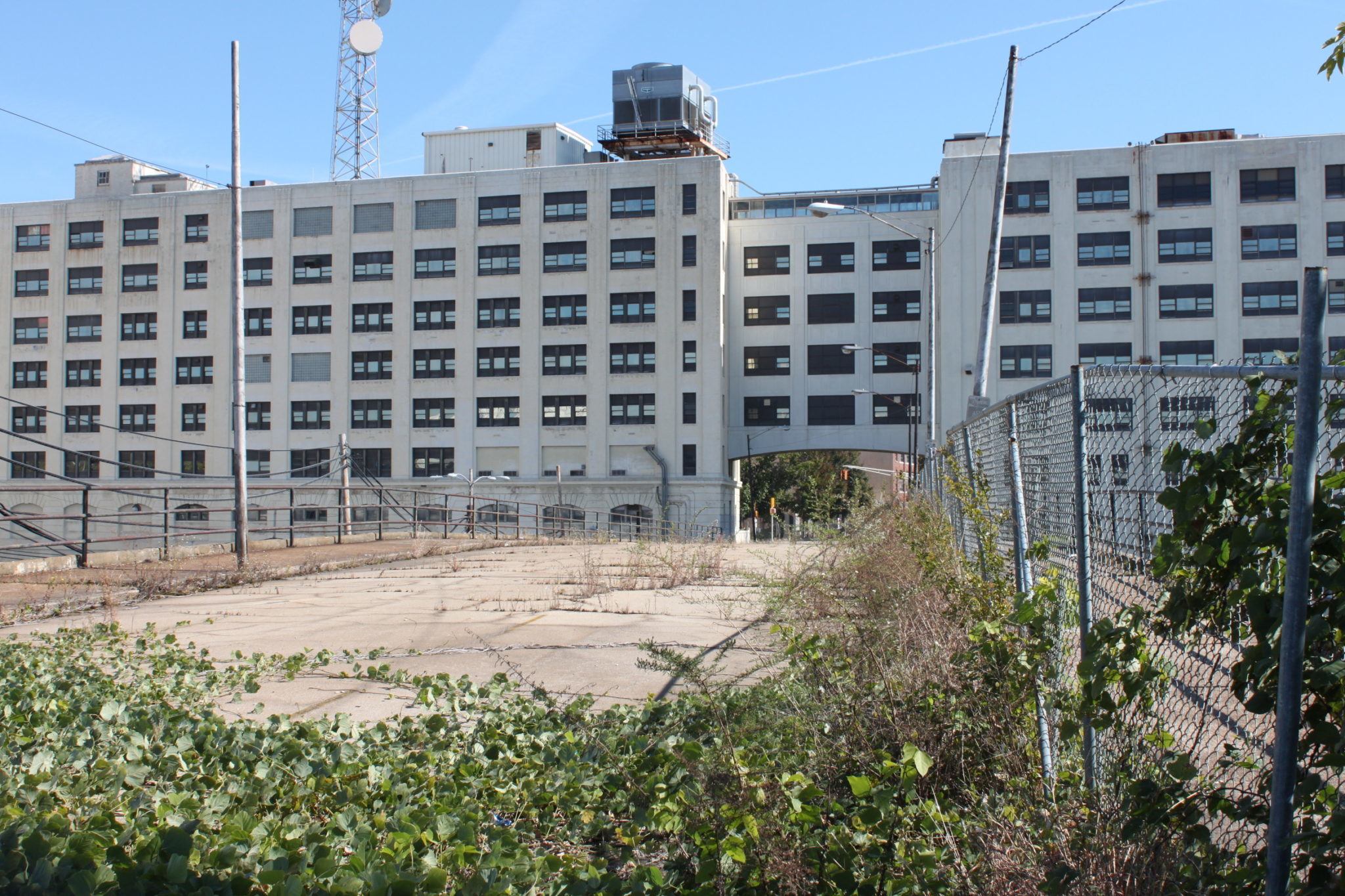 Visiting Atlanta's Castleberry Hill Neighborhood - This Is My South