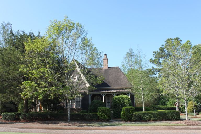 Weekend Guide to Northwest Georgia - This Is My South