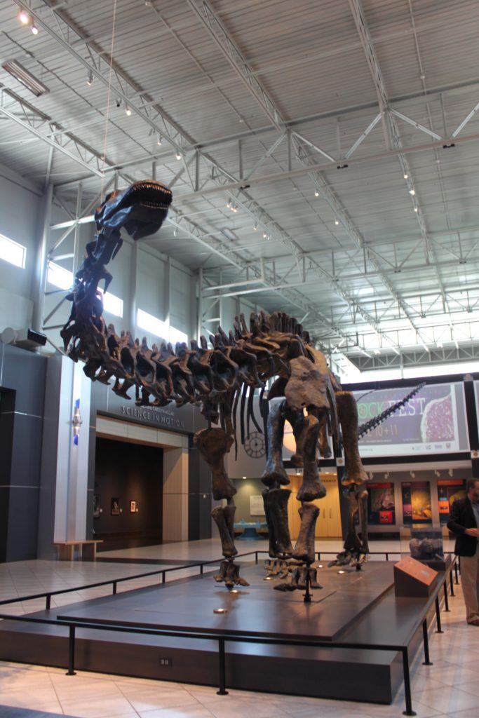 Visiting the Tellus Science Museum - This Is My South