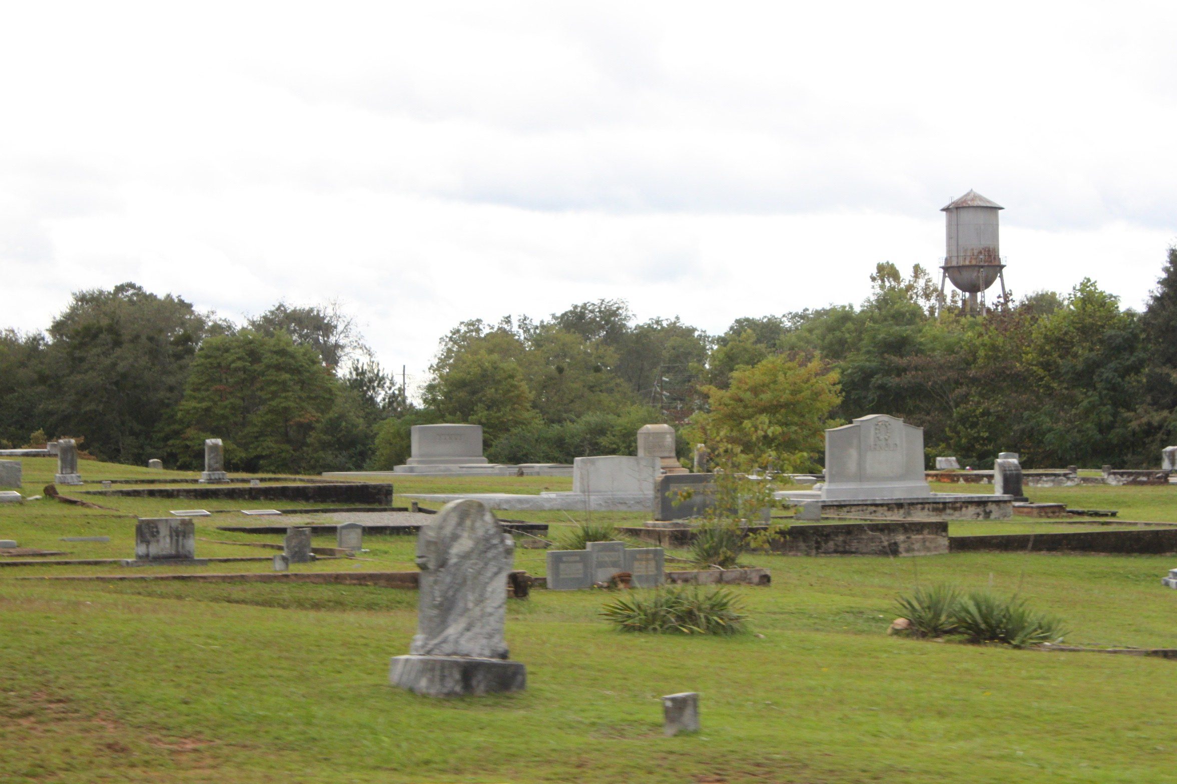 The Ultimate Walking Dead Fan Guide to Georgia - This Is My South