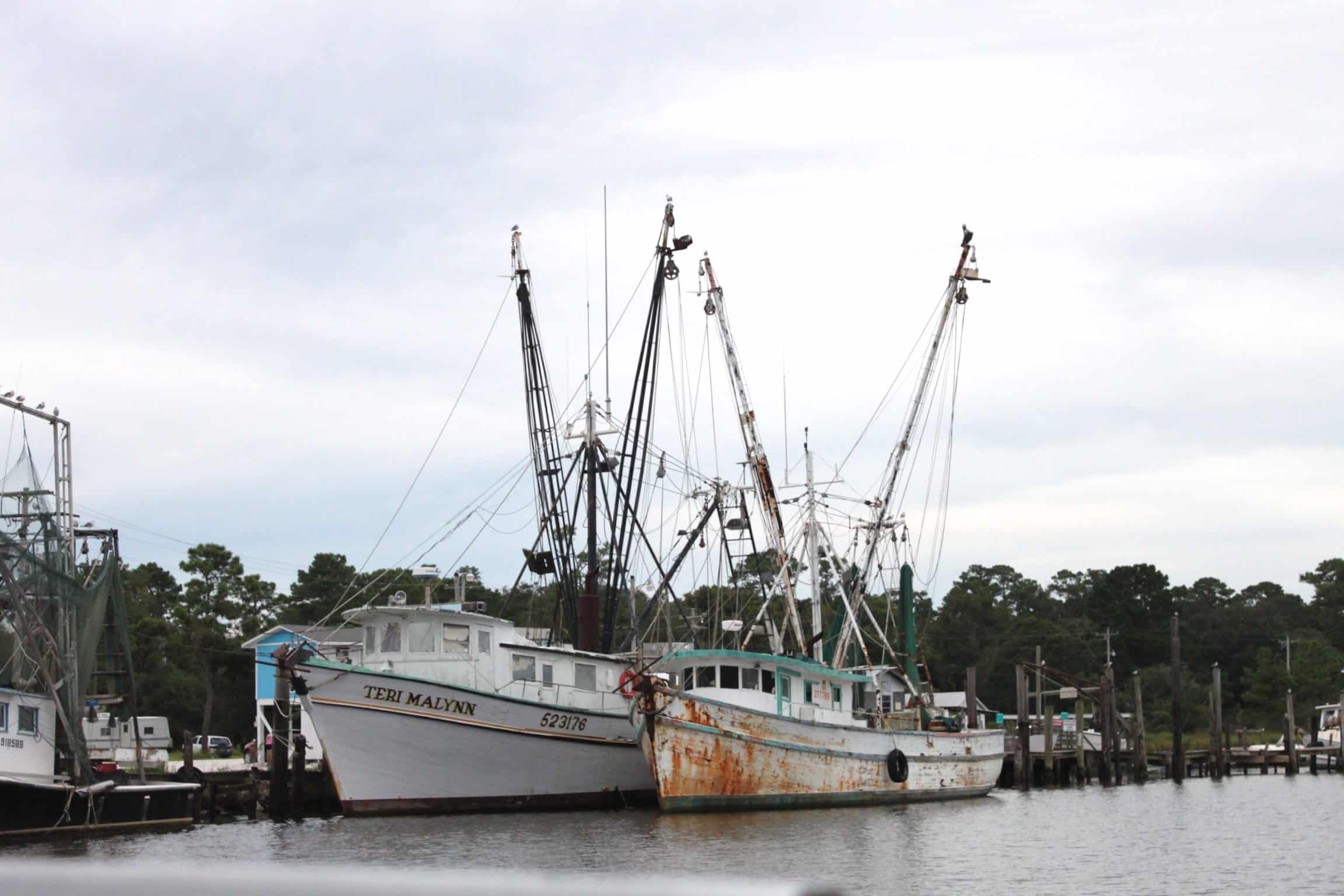 6 Must-See Destinations in Alabama - This Is My South
