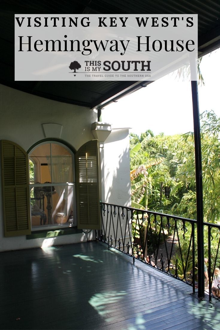 Visiting the Hemingway House in Key West - This Is My South