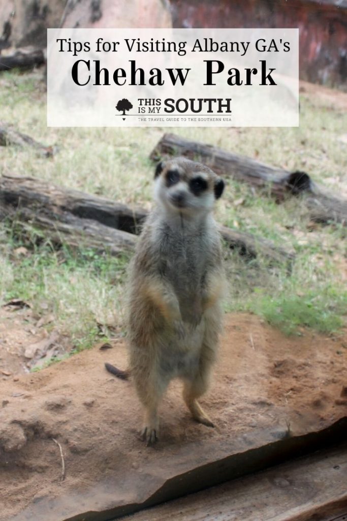 Visiting Chehaw Park in Albany, Georgia - This Is My South