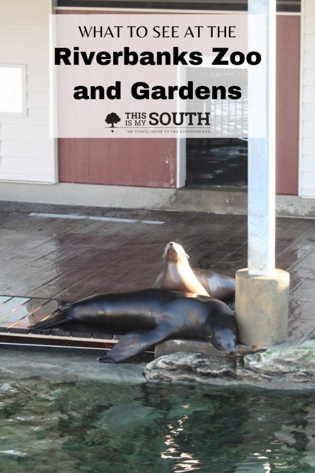 Visiting Riverbanks Zoo and Gardens - This Is My South