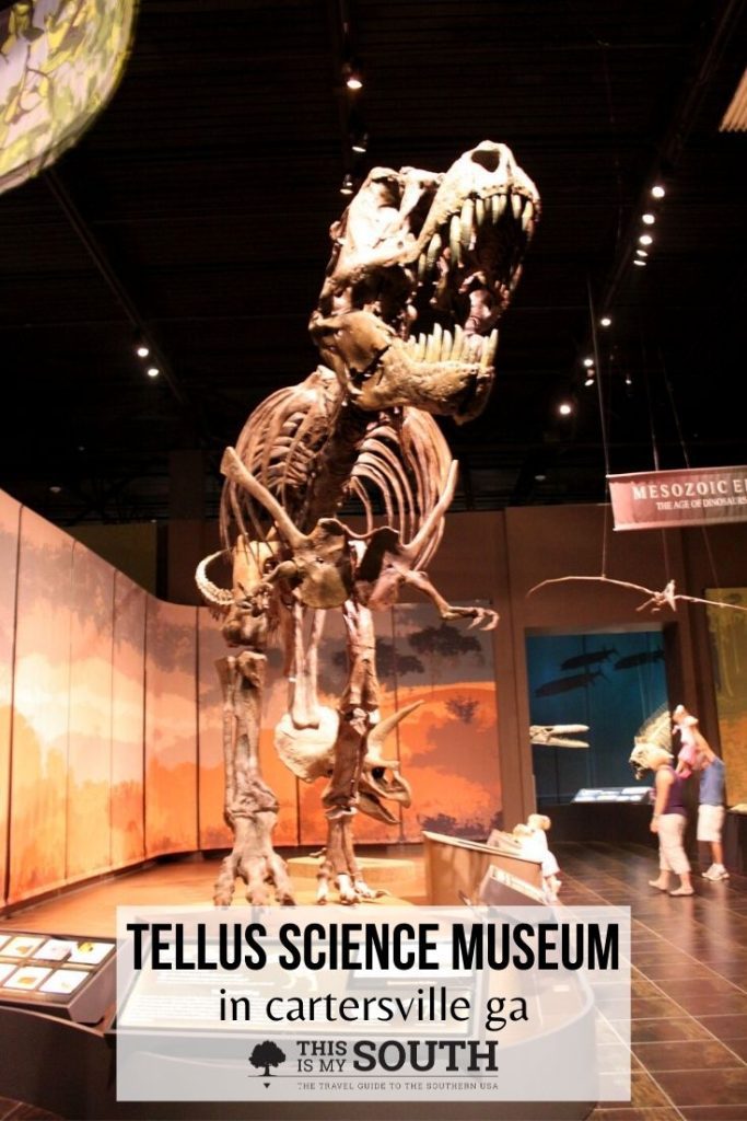 Visiting the Tellus Science Museum - This Is My South
