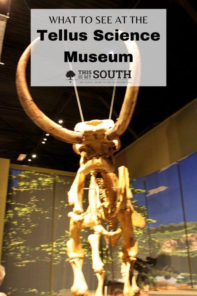 Visiting the Tellus Science Museum - This Is My South